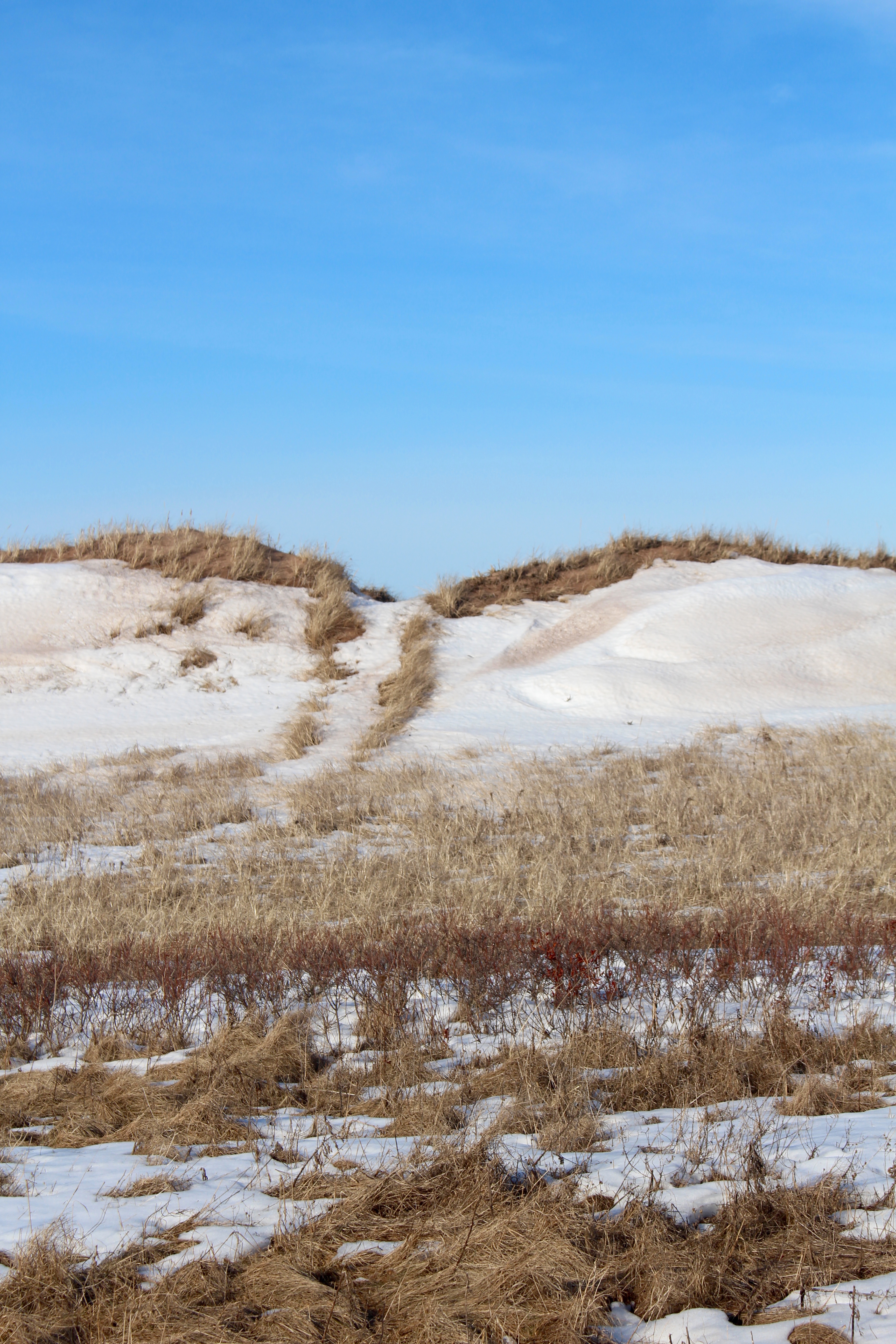 Cavendish in Winter – Island Hearth